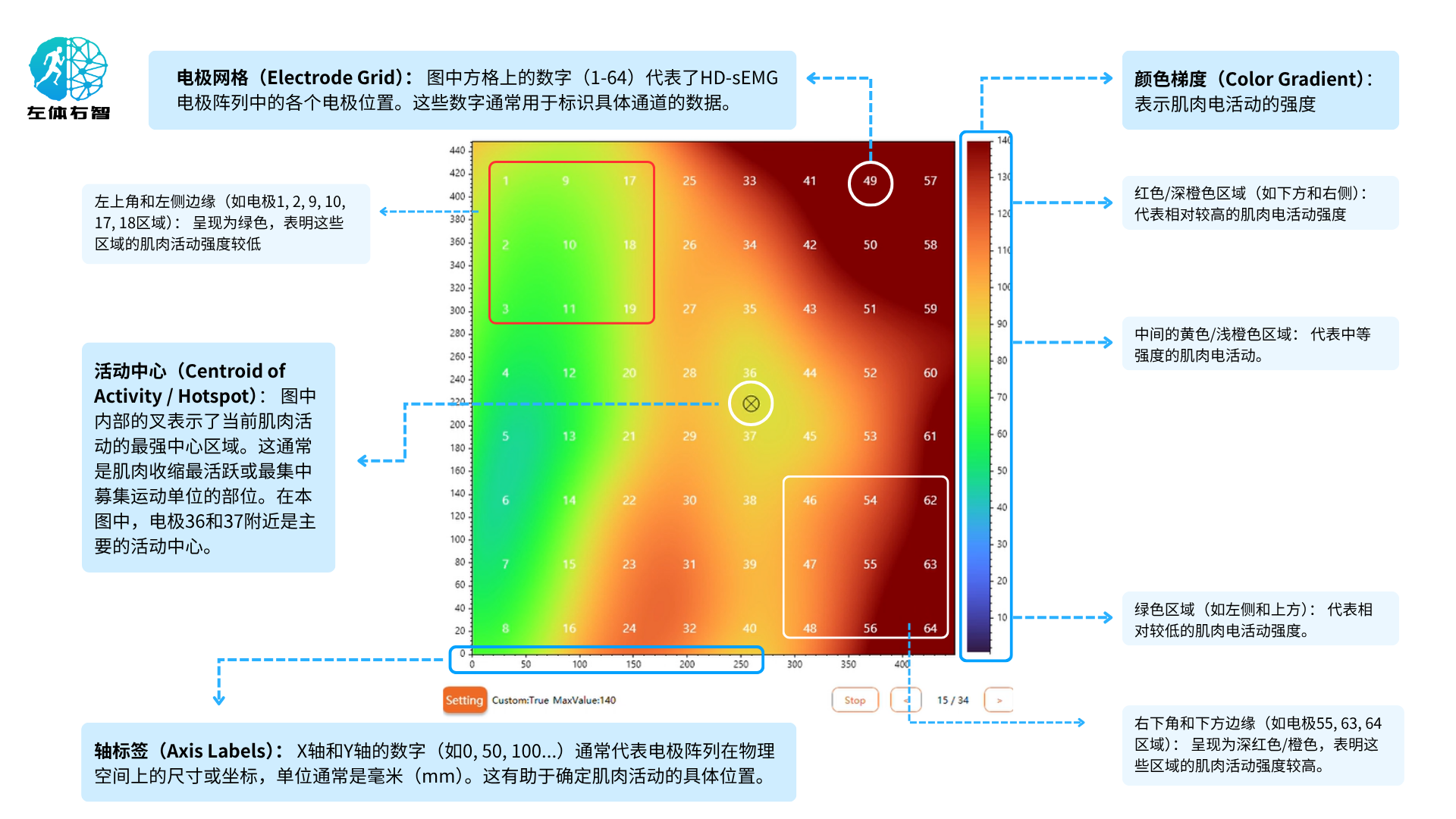 高密度表面肌电与普通表面肌电深度对比优势分析 | HD-sEMG 技术详解 - 上海左体右智科技有限公司